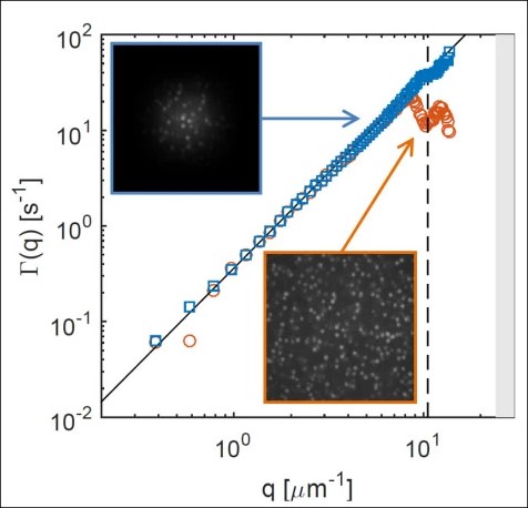 Image windowing mitigates edge effects in Differential Dynamic ...