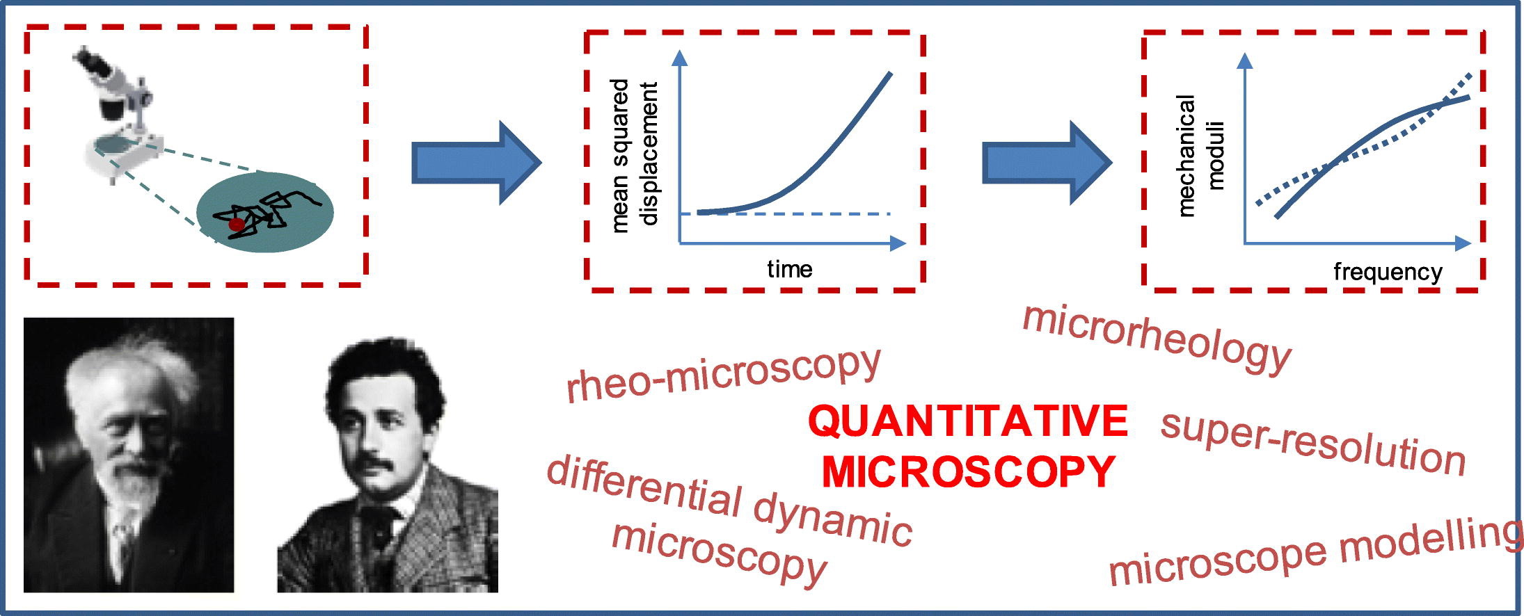 Quantitative optical microscopy of colloids: The legacy of Jean Perrin | Somex Lab