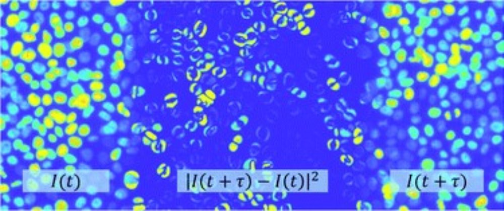 Disentangling collective motion and local rearrangements in 2D and 3D ...