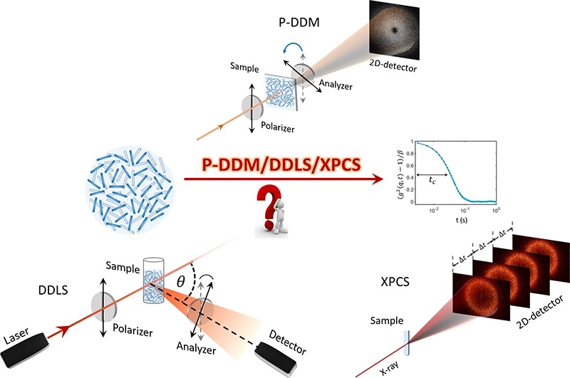 Dynamics of anisotropic colloidal systems: What to choose, DLS, DDM or XPCS? | Somex Lab